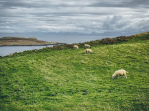 Lo mejor de la Isla de Skye. Siete lugares para no perderte